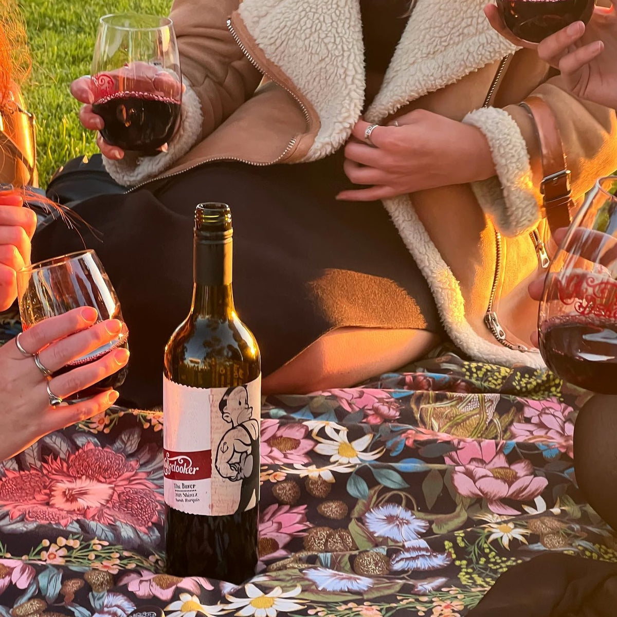 Mollydooker The Boxer Shiraz – Luxury Red Wine Gift – COVE 27